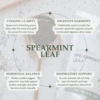 refreshing spearmint tea blend