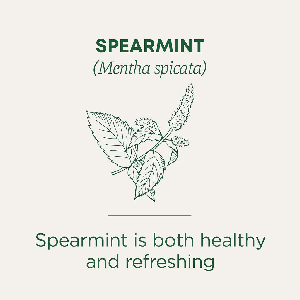 refreshing spearmint tea for digestion