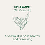 refreshing spearmint tea for digestion