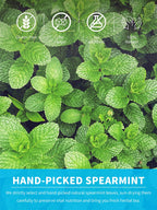 refreshing spearmint tea for digestion