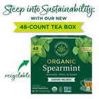 refreshing spearmint tea for digestion