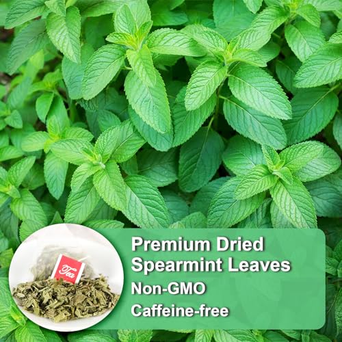 refreshing spearmint tea for relaxation