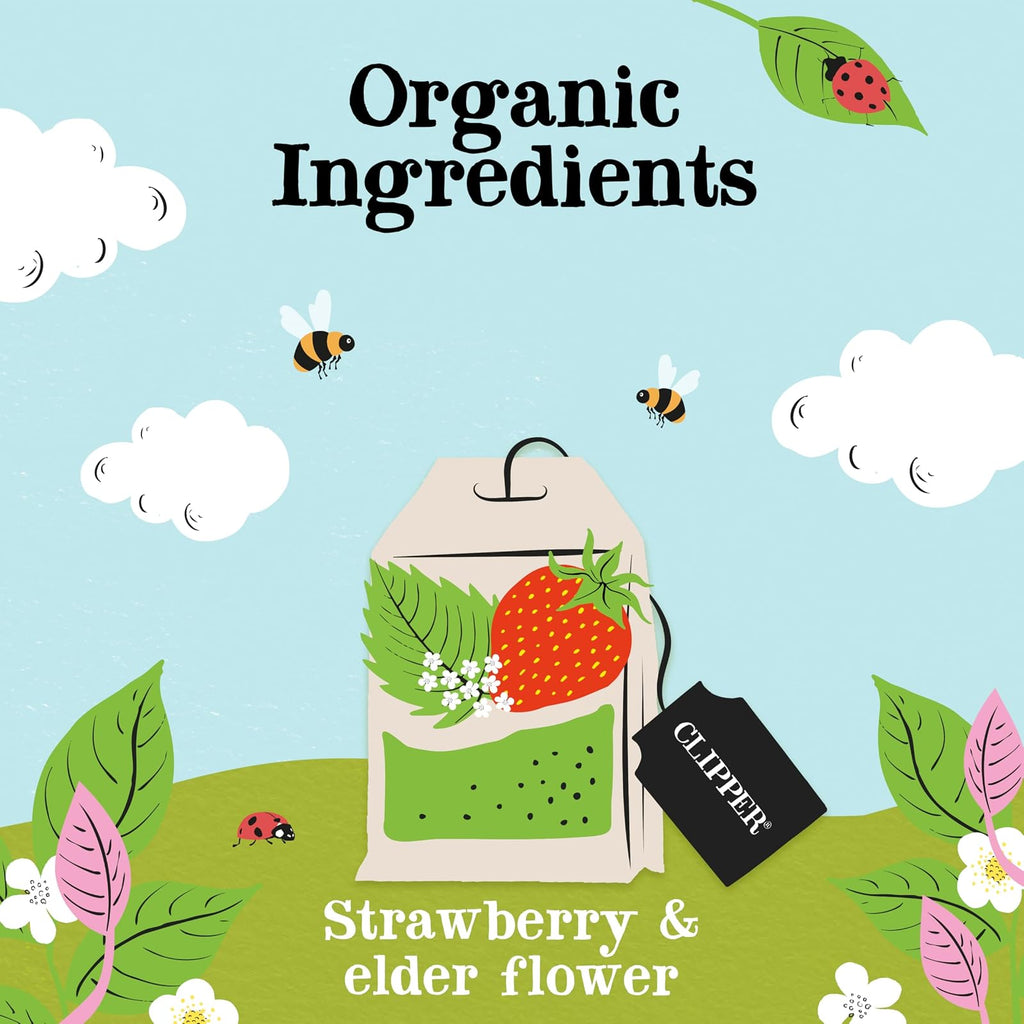 refreshing strawberry elderflower tea bags