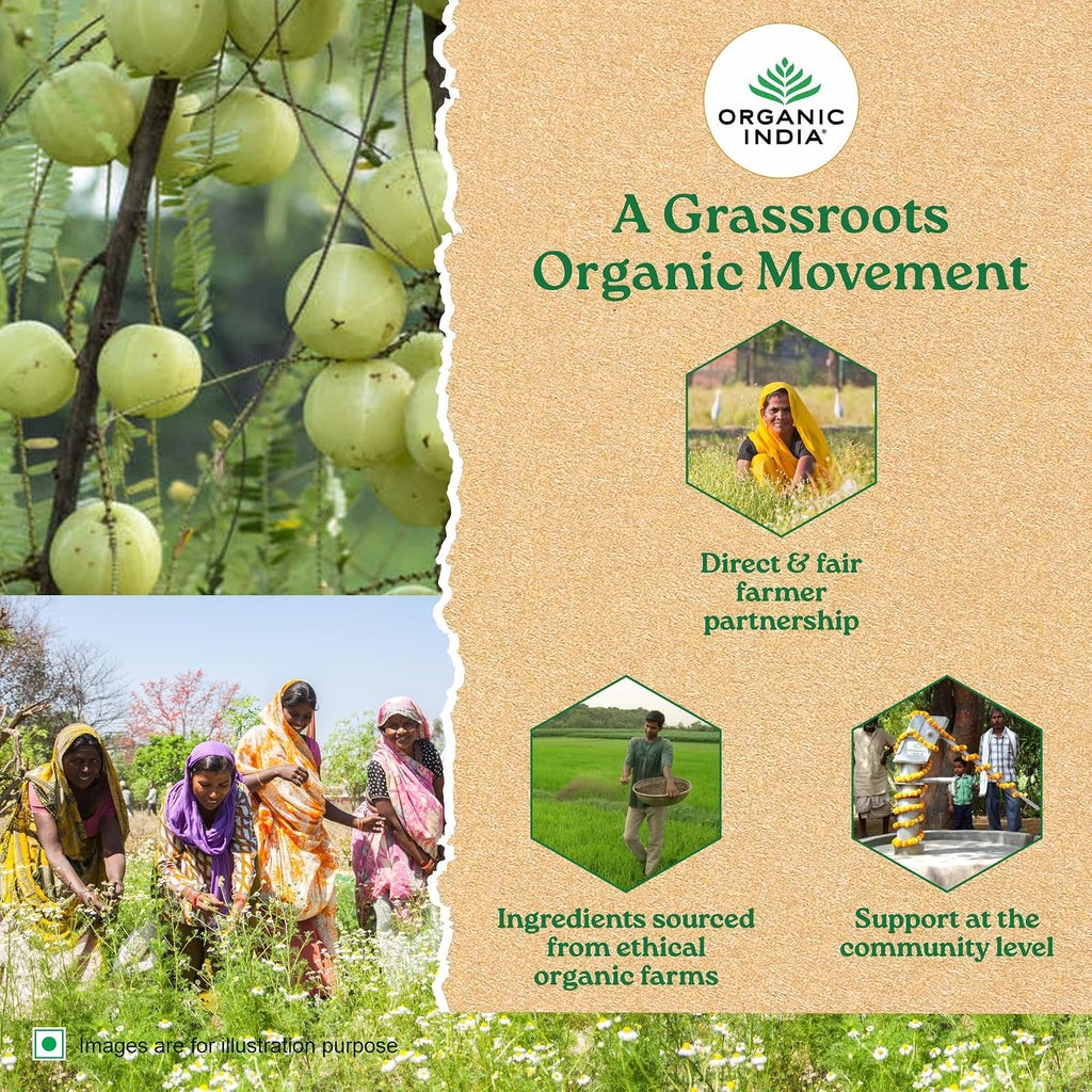 refreshing tulsi green tea blend