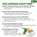refreshing Tulsi peppermint herbal tea