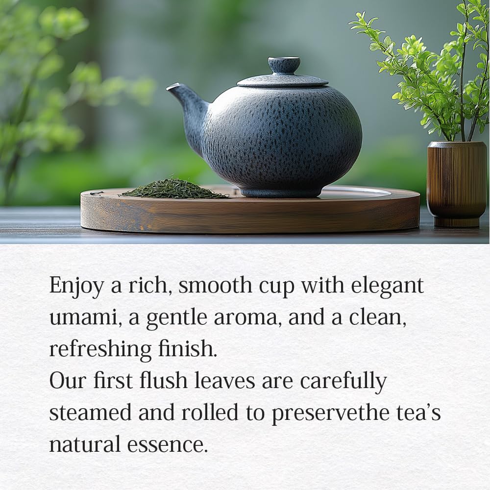 refreshing Uji Sencha tea blend
