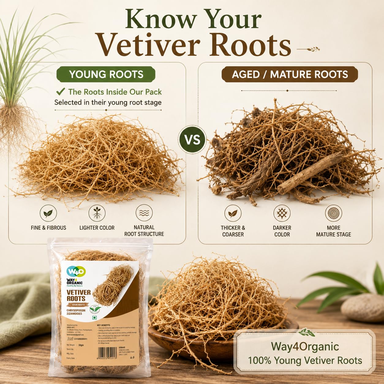 refreshing vetiver root tea blend