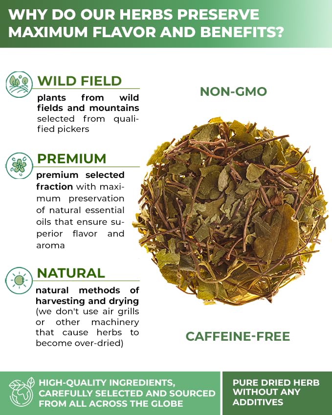 refreshing wintergreen herb tea infusion