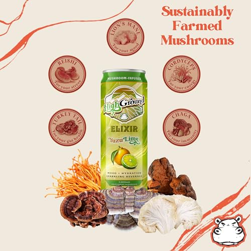 refreshing Yuzu Lime mushroom drink