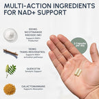 REFUSEtoAGE NAD+ for cellular health