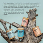 reishi adaptogen for wellness
