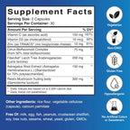 Reishi and Beta Glucans vitamins