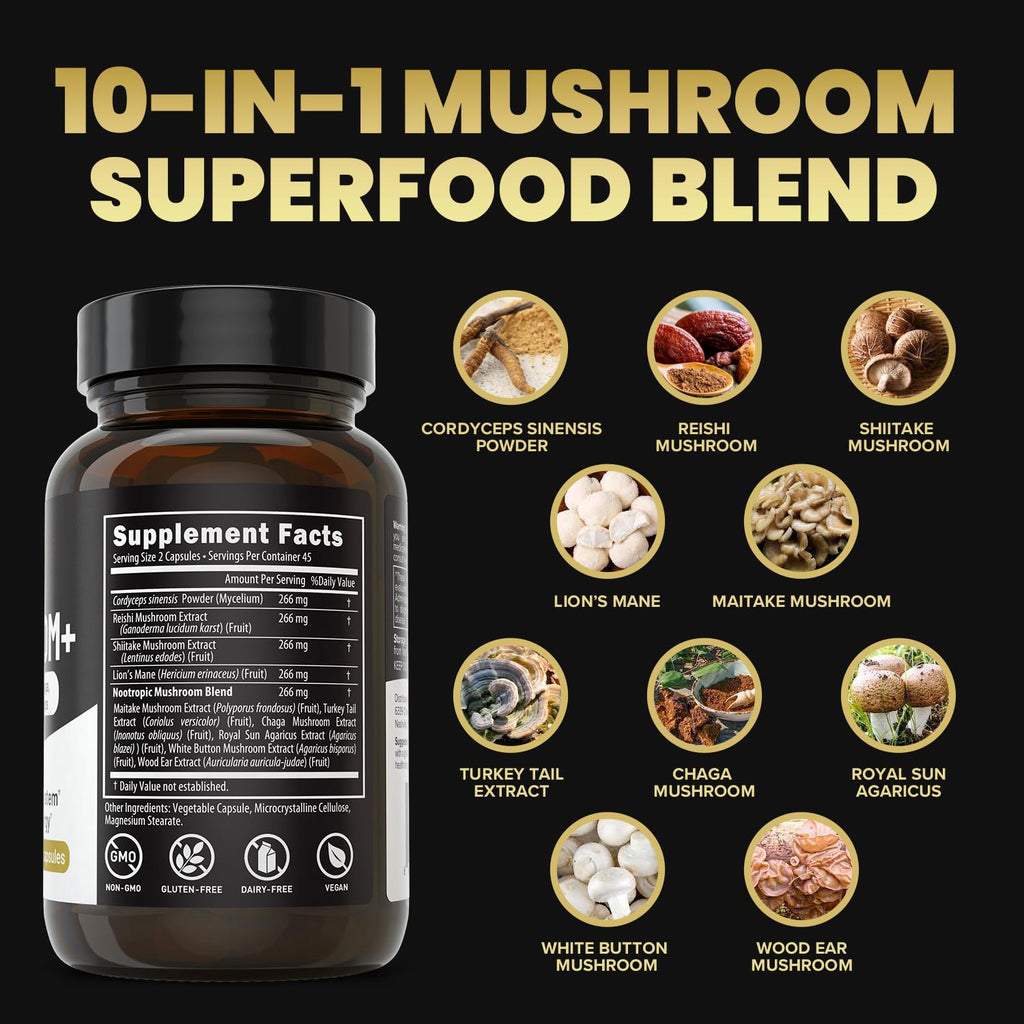 Reishi and Chaga for cognitive support