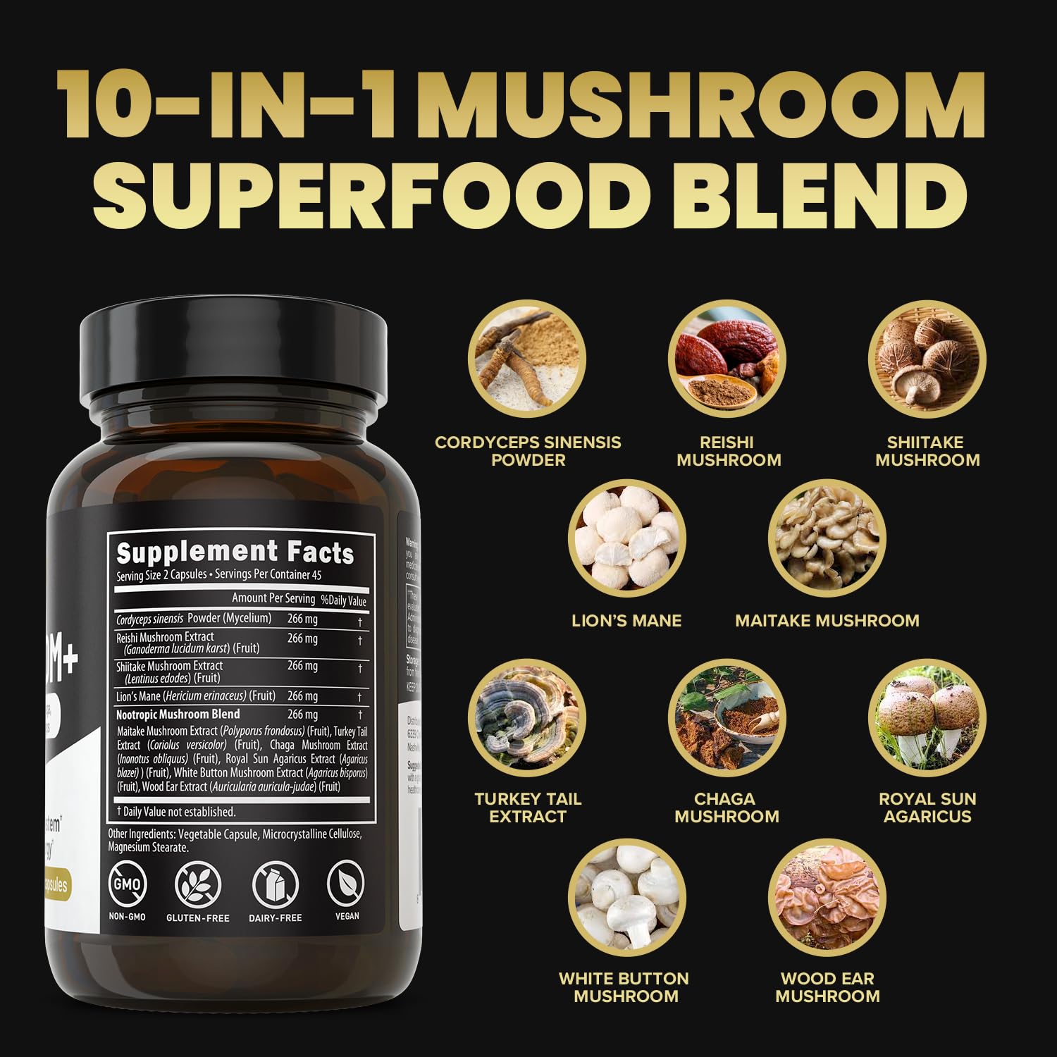 Reishi and Chaga for cognitive support