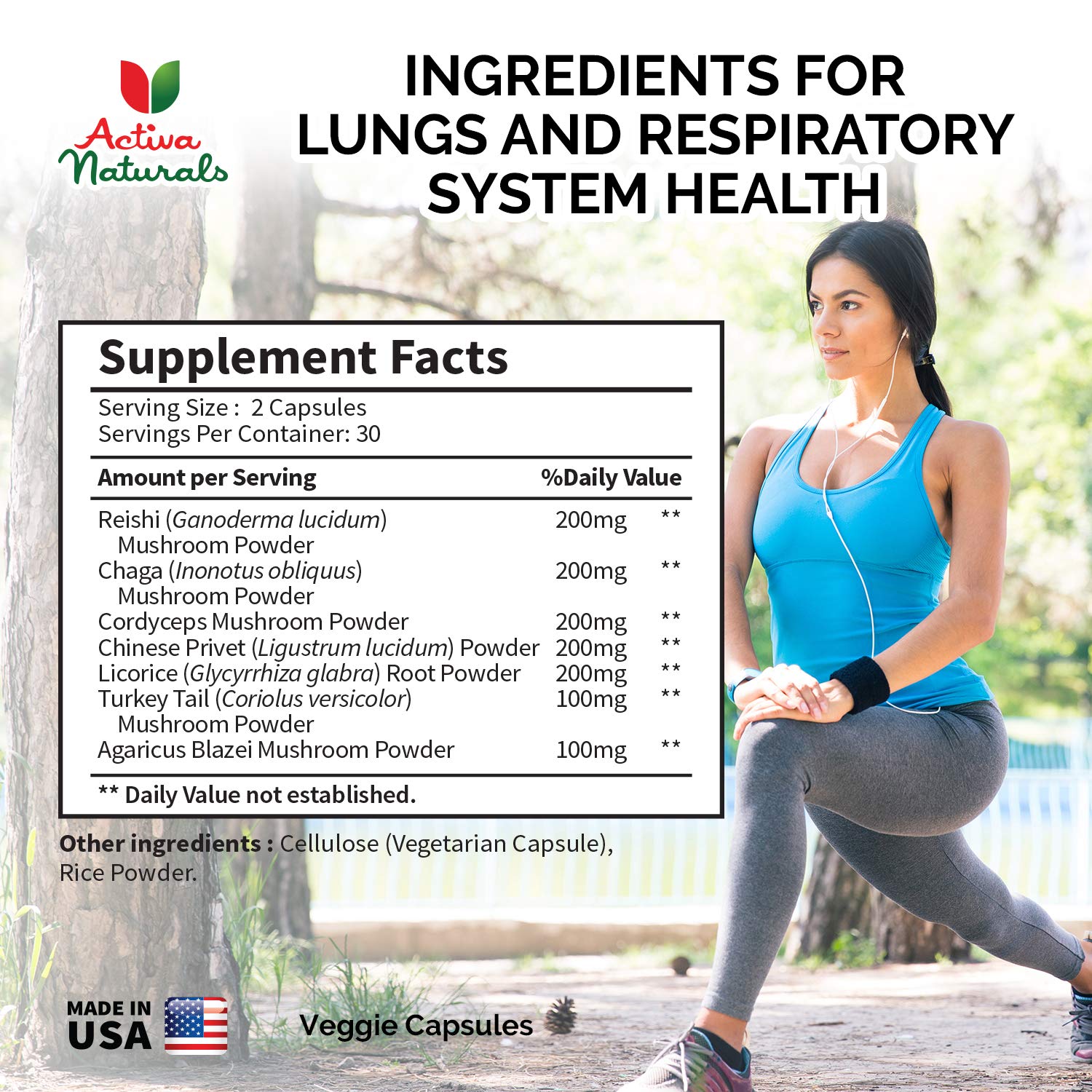 Reishi and Chaga mushroom benefits