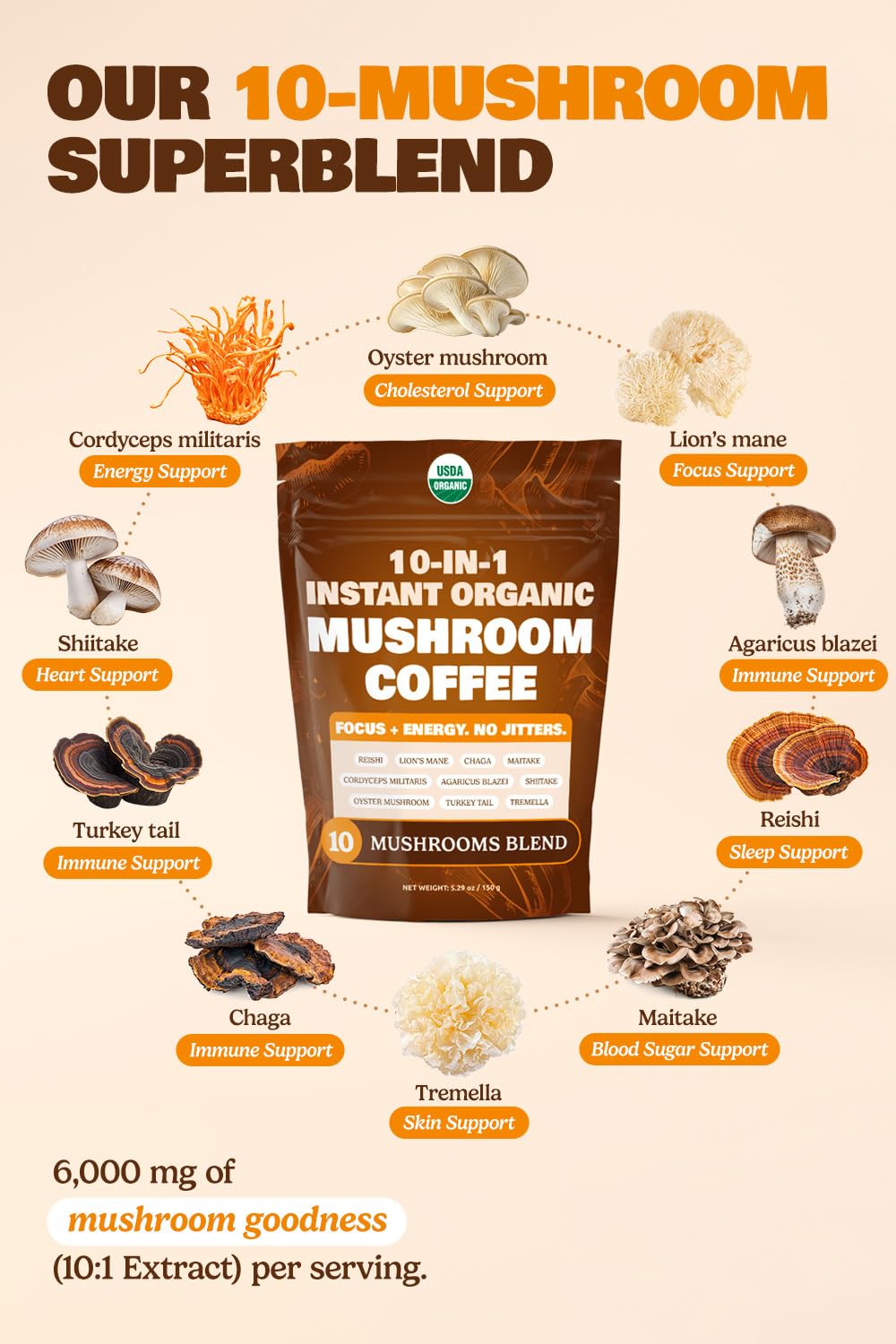 reishi and chaga mushroom benefits