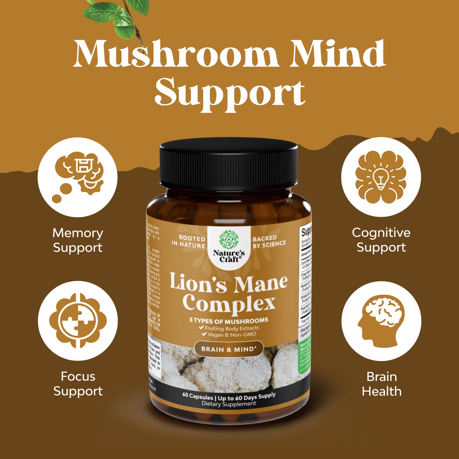 Reishi and Chaga mushroom blend benefits