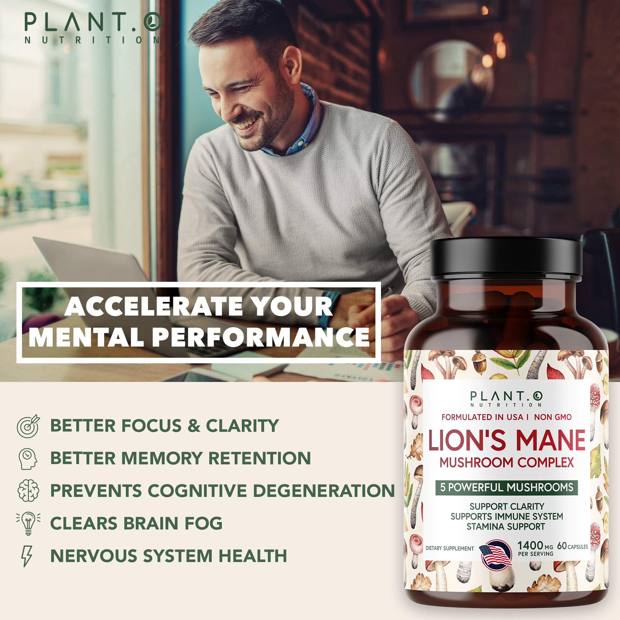 Reishi and Chaga mushroom synergy