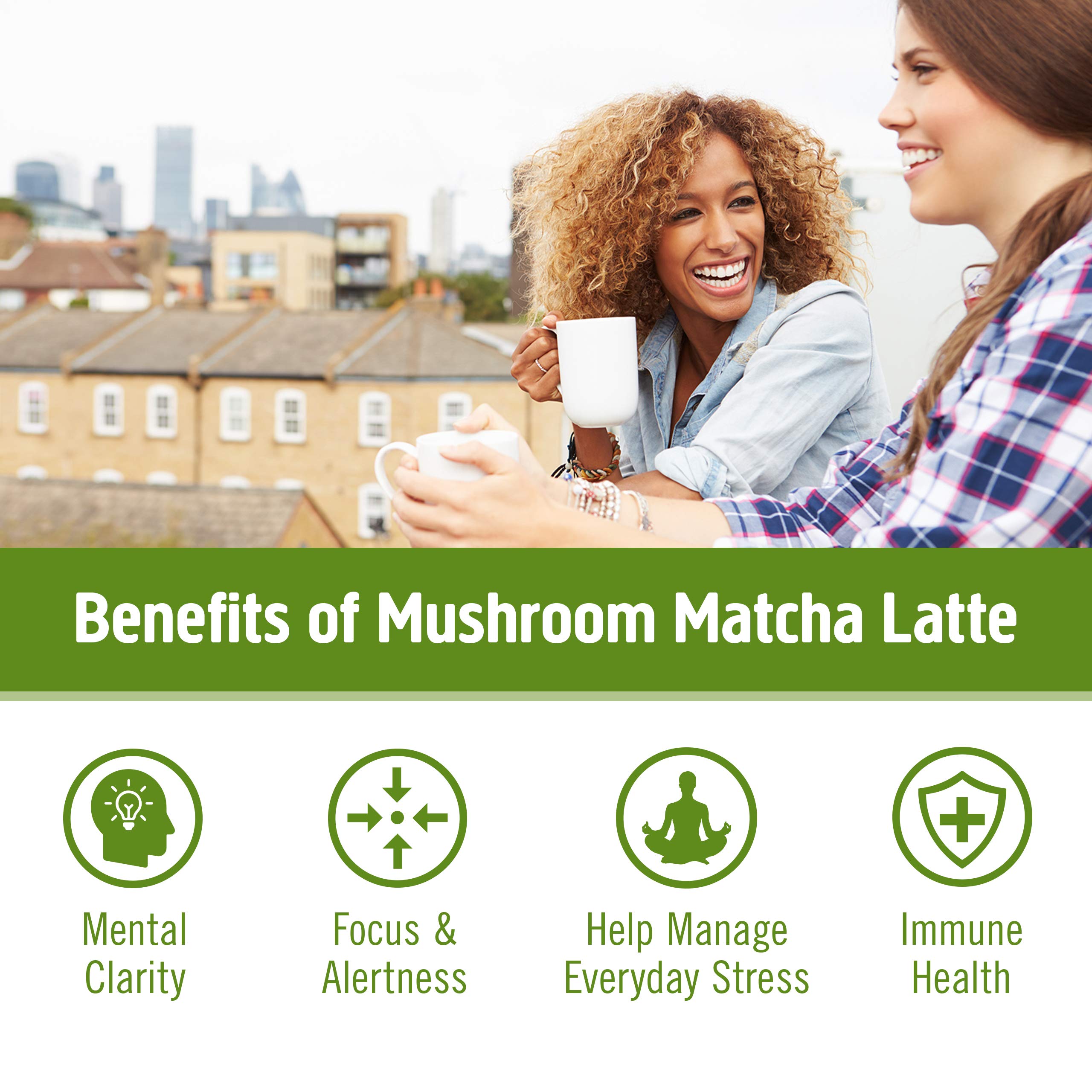 Reishi and chaga superfood powder