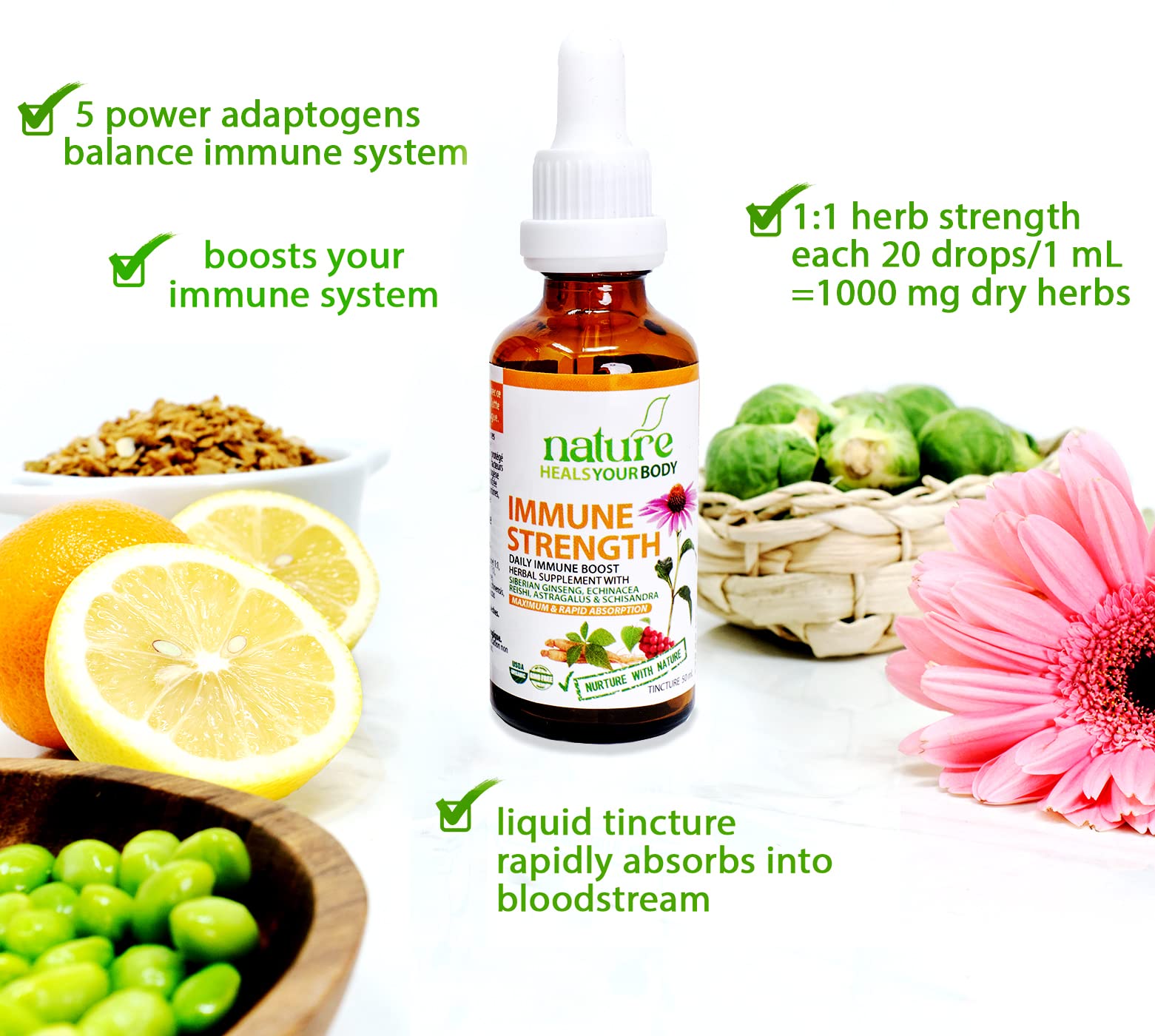 reishi and echinacea health benefits