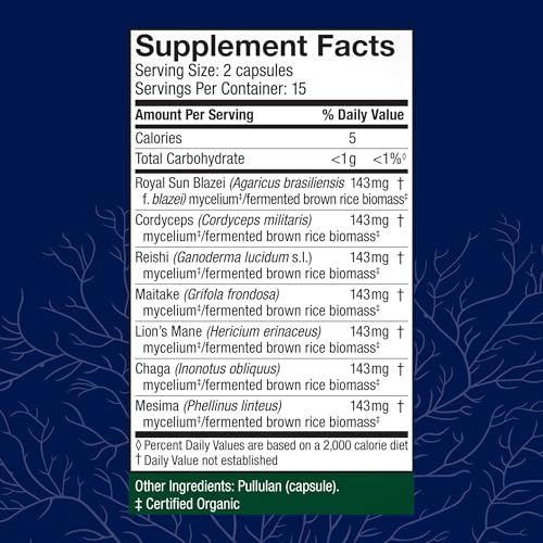 Reishi and Lion's Mane benefits