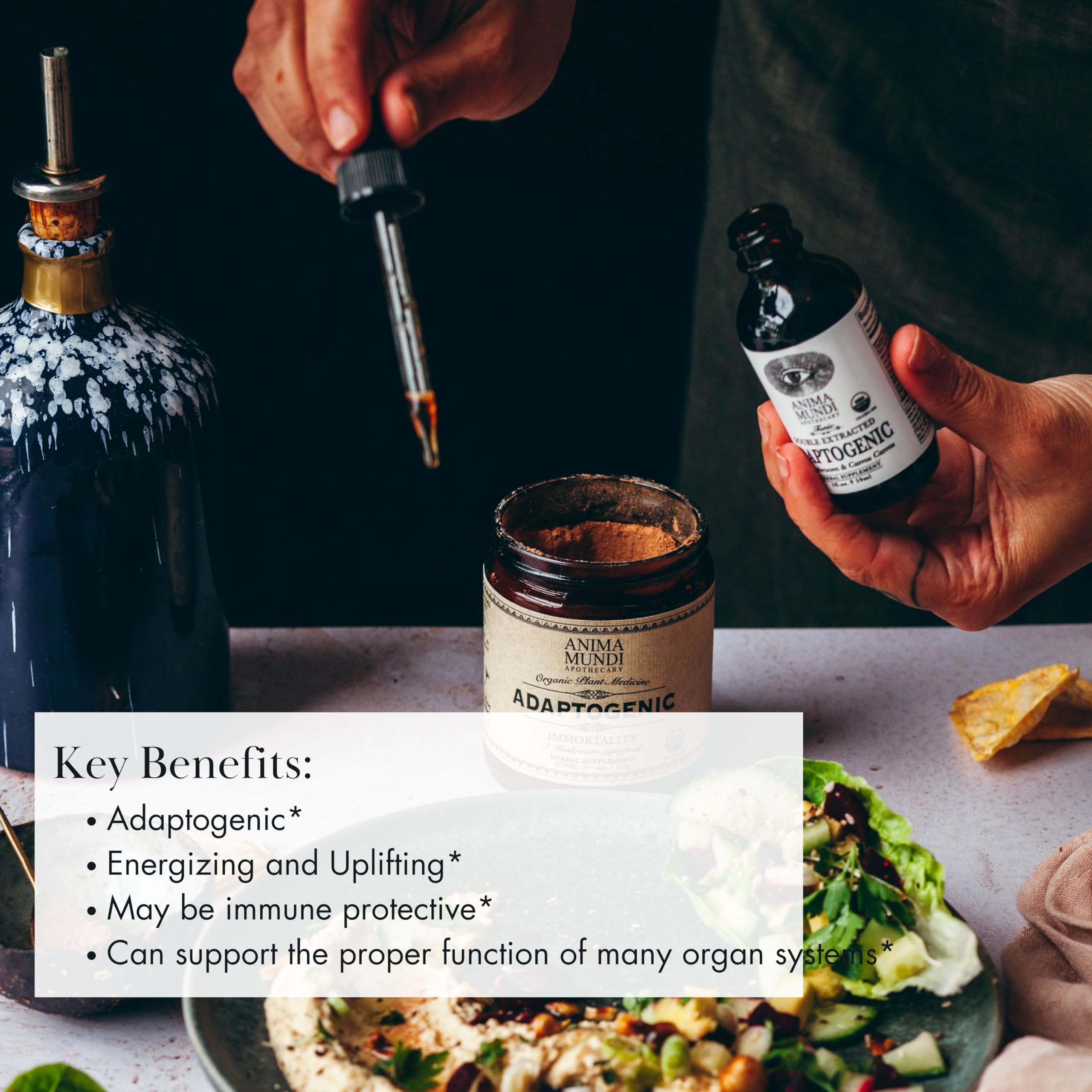 Reishi and Lion's Mane benefits