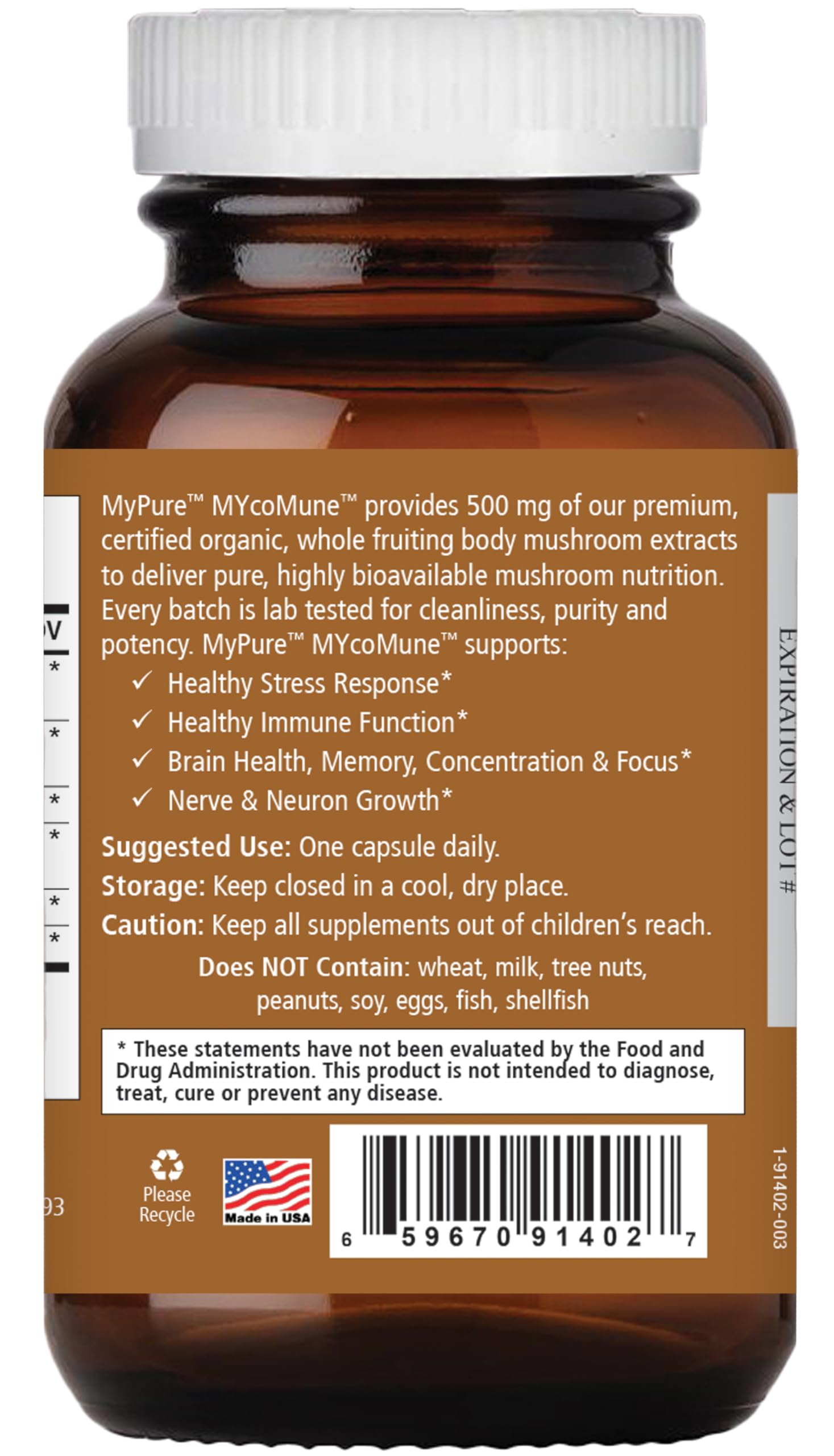 Reishi and Lion's Mane benefits