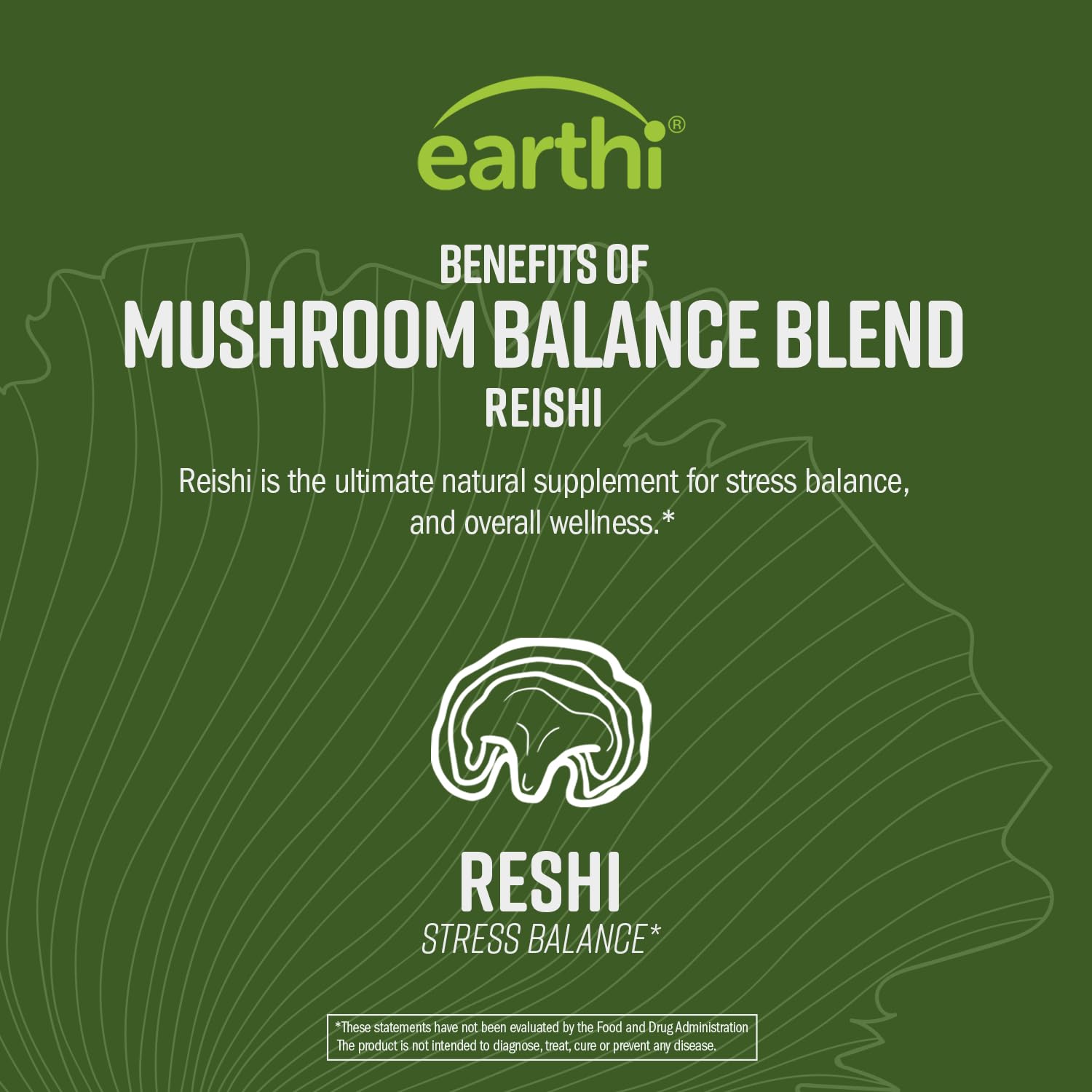 Reishi and Lion's Mane benefits
