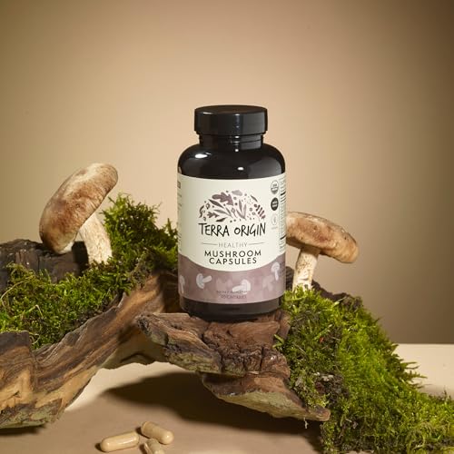 Reishi and Lion's Mane benefits