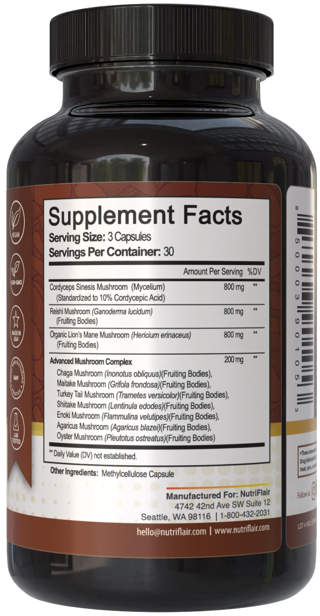 Reishi and Lion's Mane benefits