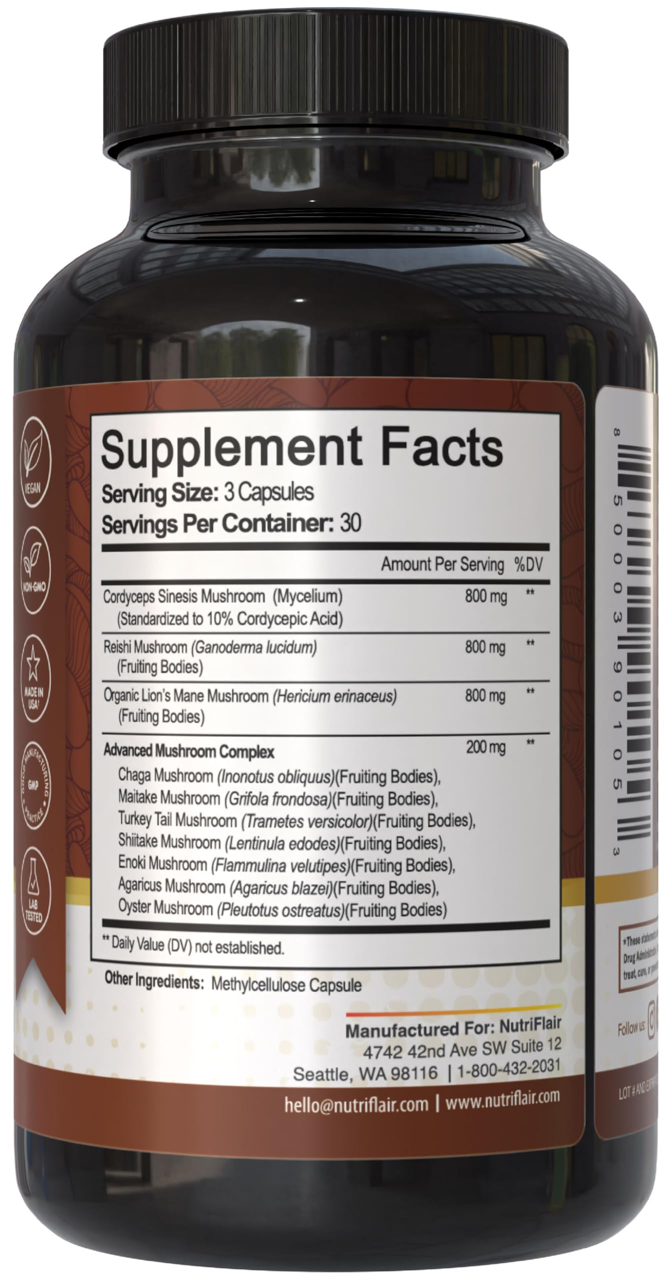 Reishi and Lion's Mane benefits