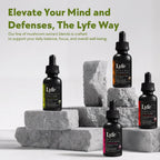 Reishi and Lion's Mane immunity blend