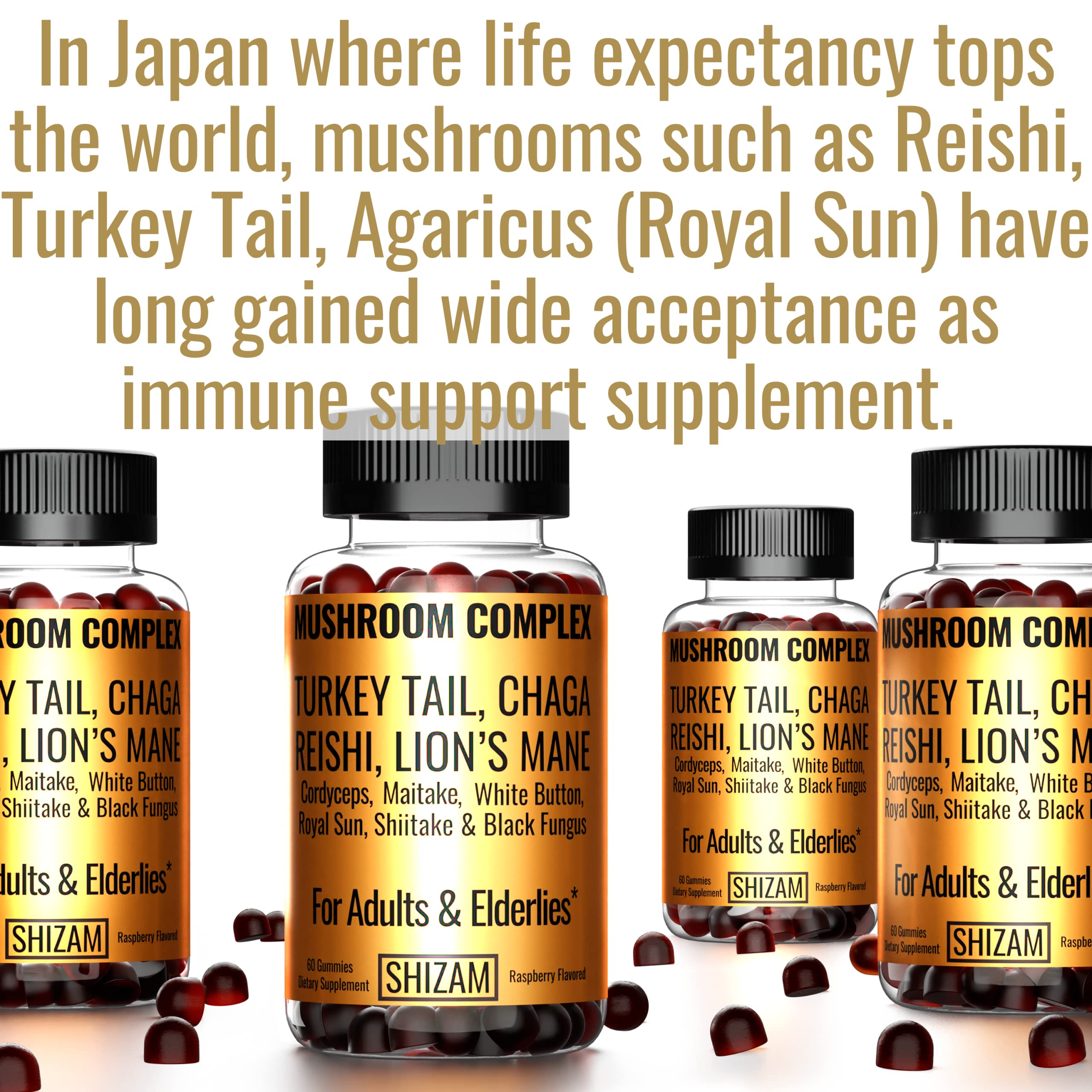 reishi and lion's mane mushroom benefits