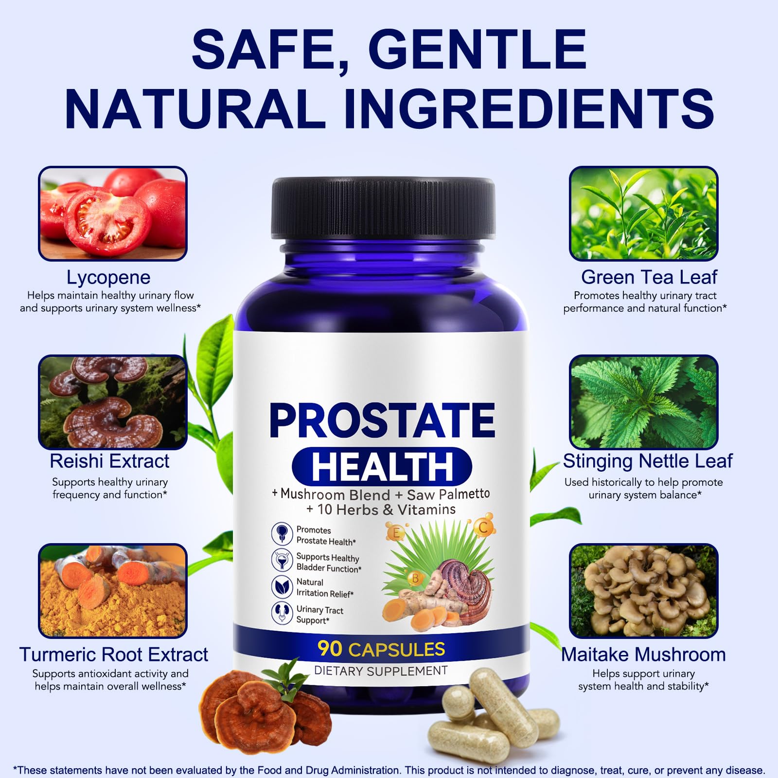 Reishi and Nettle herbal blend
