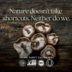 Reishi and shiitake for stress relief