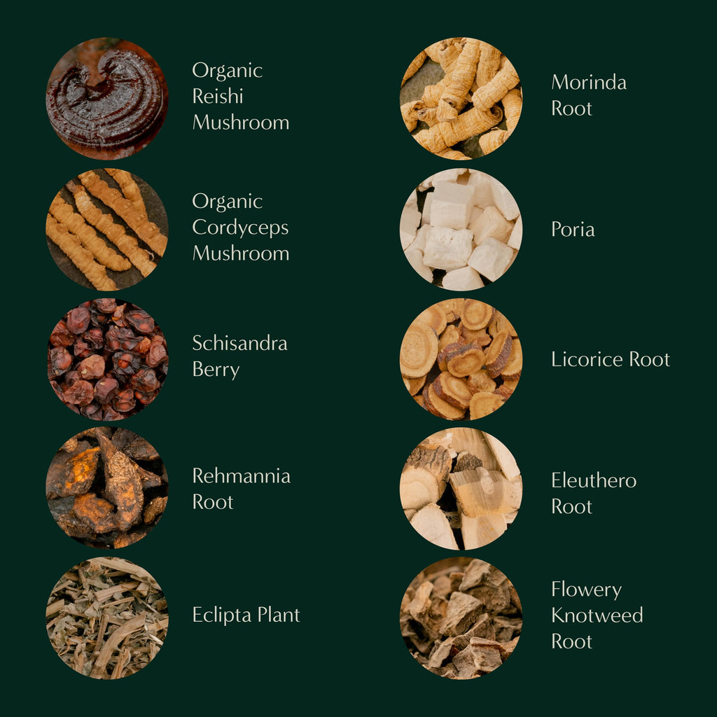 reishi and superfoods for immunity