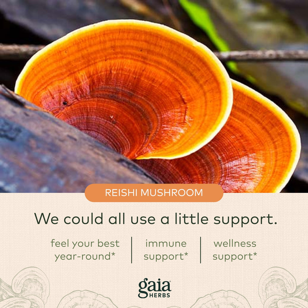 Reishi and turmeric for stress relief