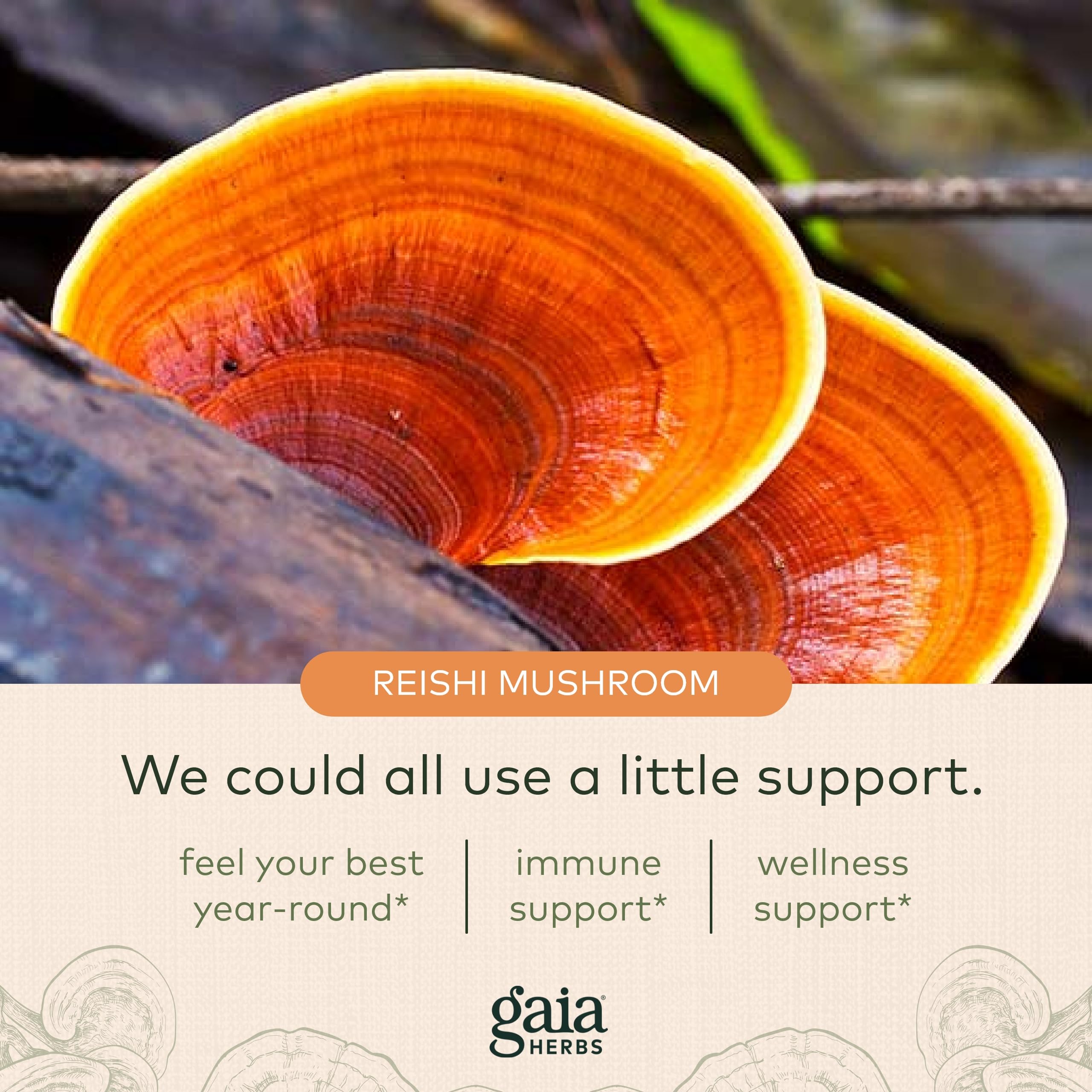 Reishi and turmeric for stress relief