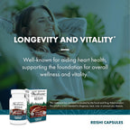 reishi capsules for daily health boost