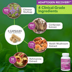 reishi capsules for daily vitality