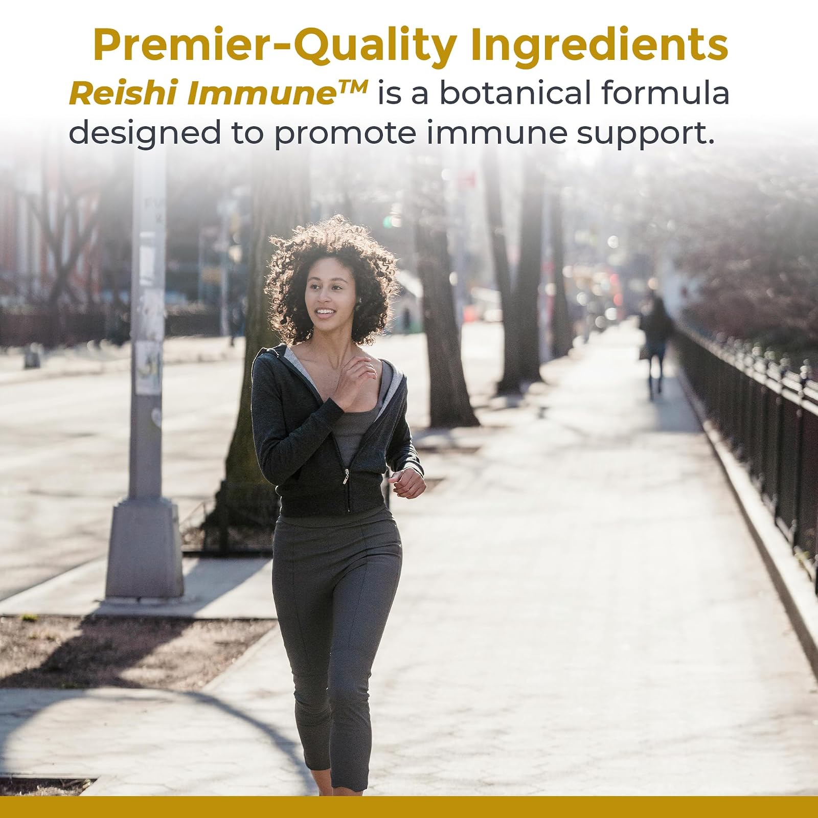 reishi capsules for energy support