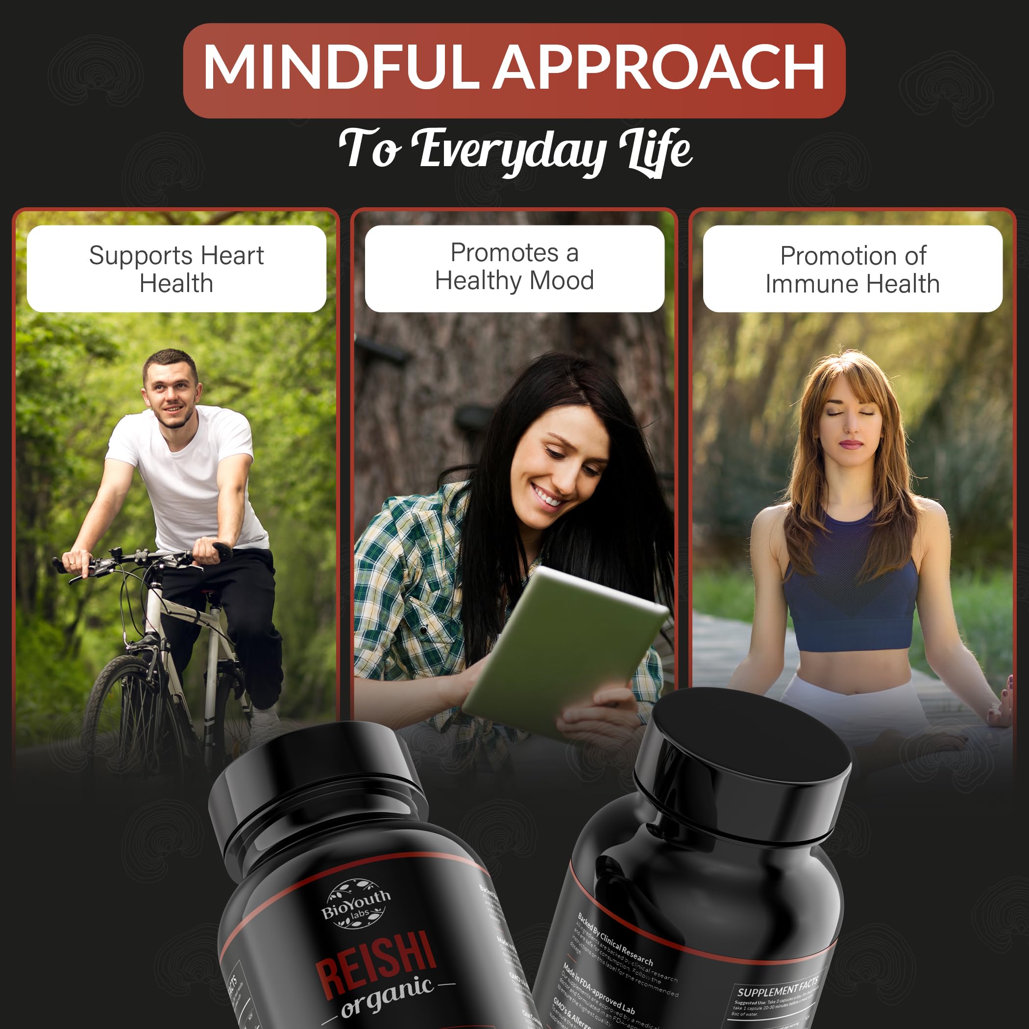 reishi capsules for enhanced mental clarity