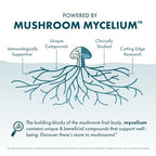 reishi capsules for stress relief