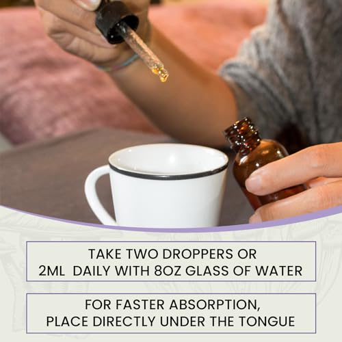 reishi elixir for wellness boost