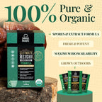 reishi extract for immune support