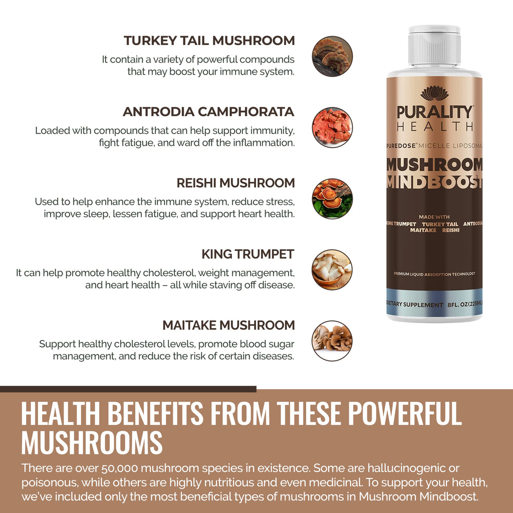Reishi for stress relief and clarity