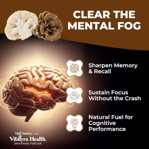 Reishi for stress relief benefits