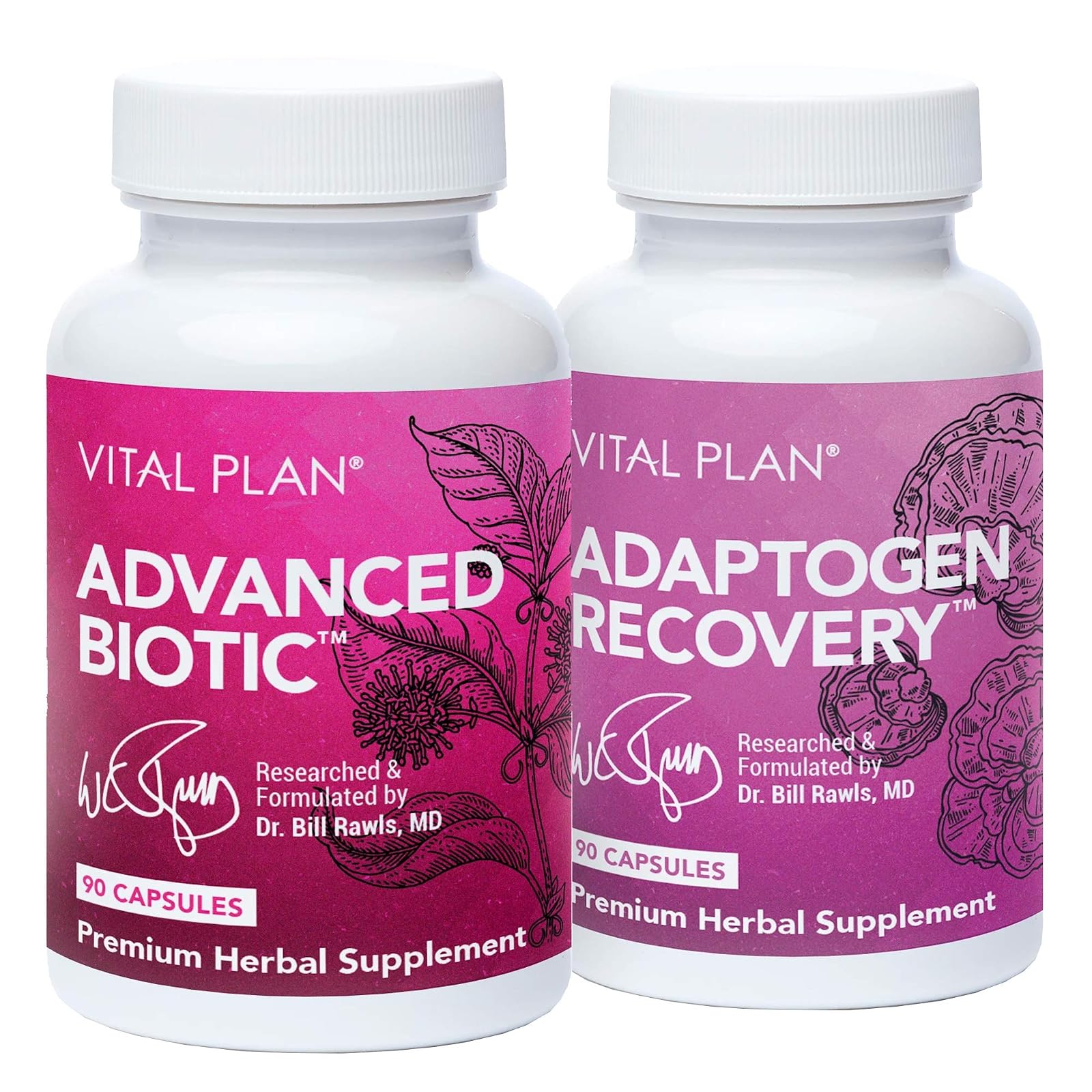 reishi immune support capsules