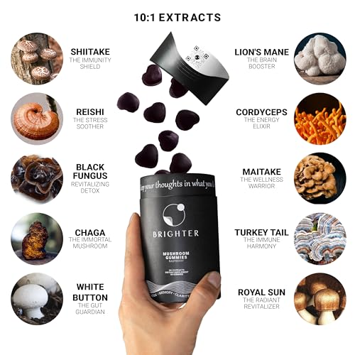 Reishi infused mushroom wellness gummies