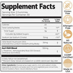 reishi infused wellness gummies